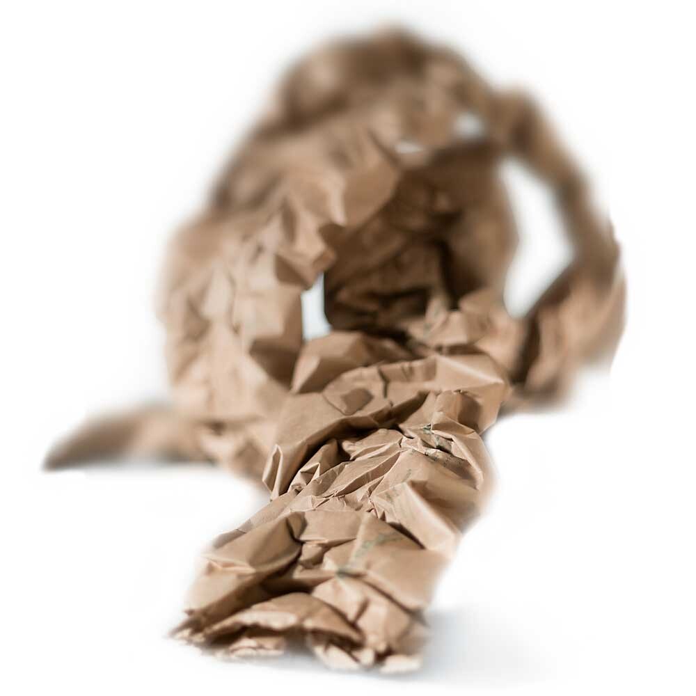 PAPERplus® Classic² Papierpolstermaschine crossover fanfold | Moosmann ...